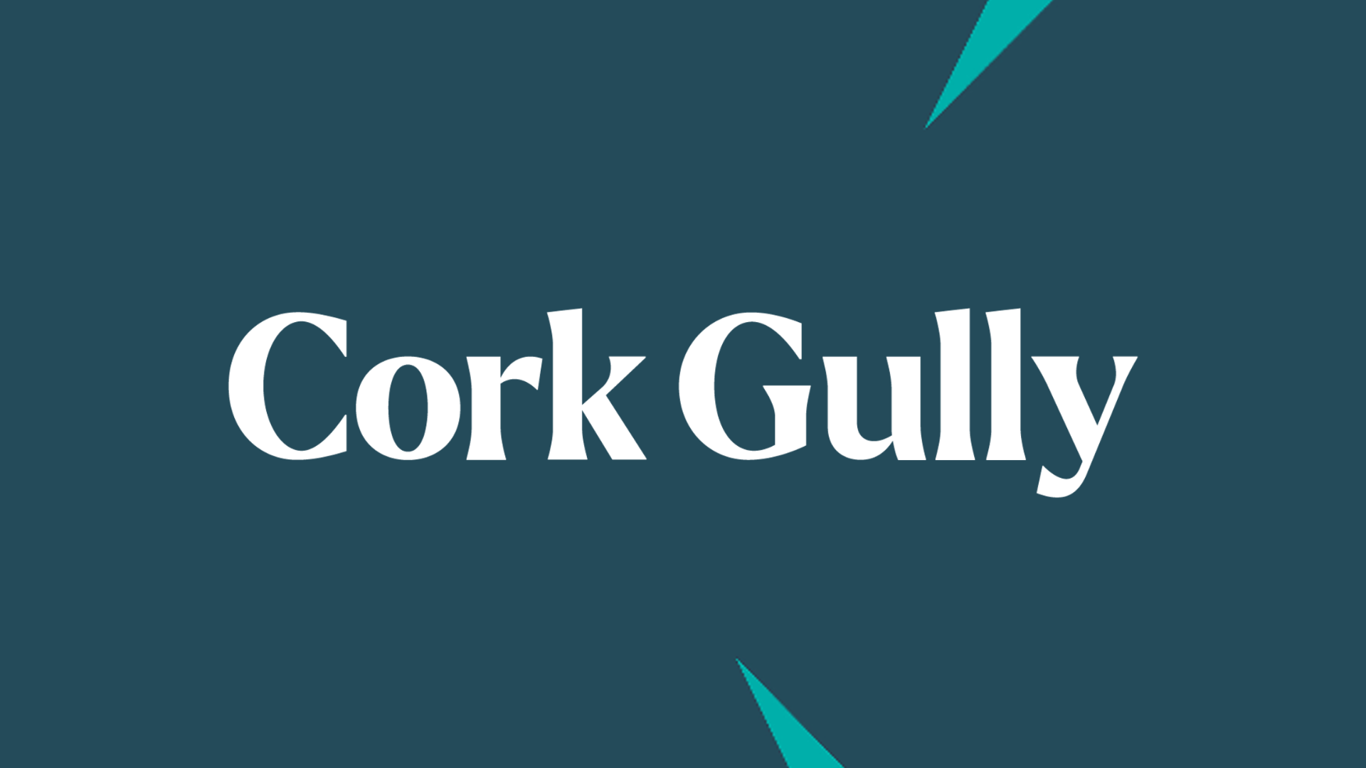 Cork Gully Advisory I Cork Gully